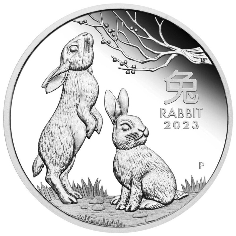 Stříbrná mince 1/2 Unce Lunar Series III Year of the Rabbit 2023 Proof
